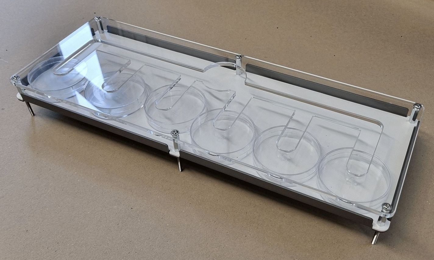 Digital Microscope for Public Spaces